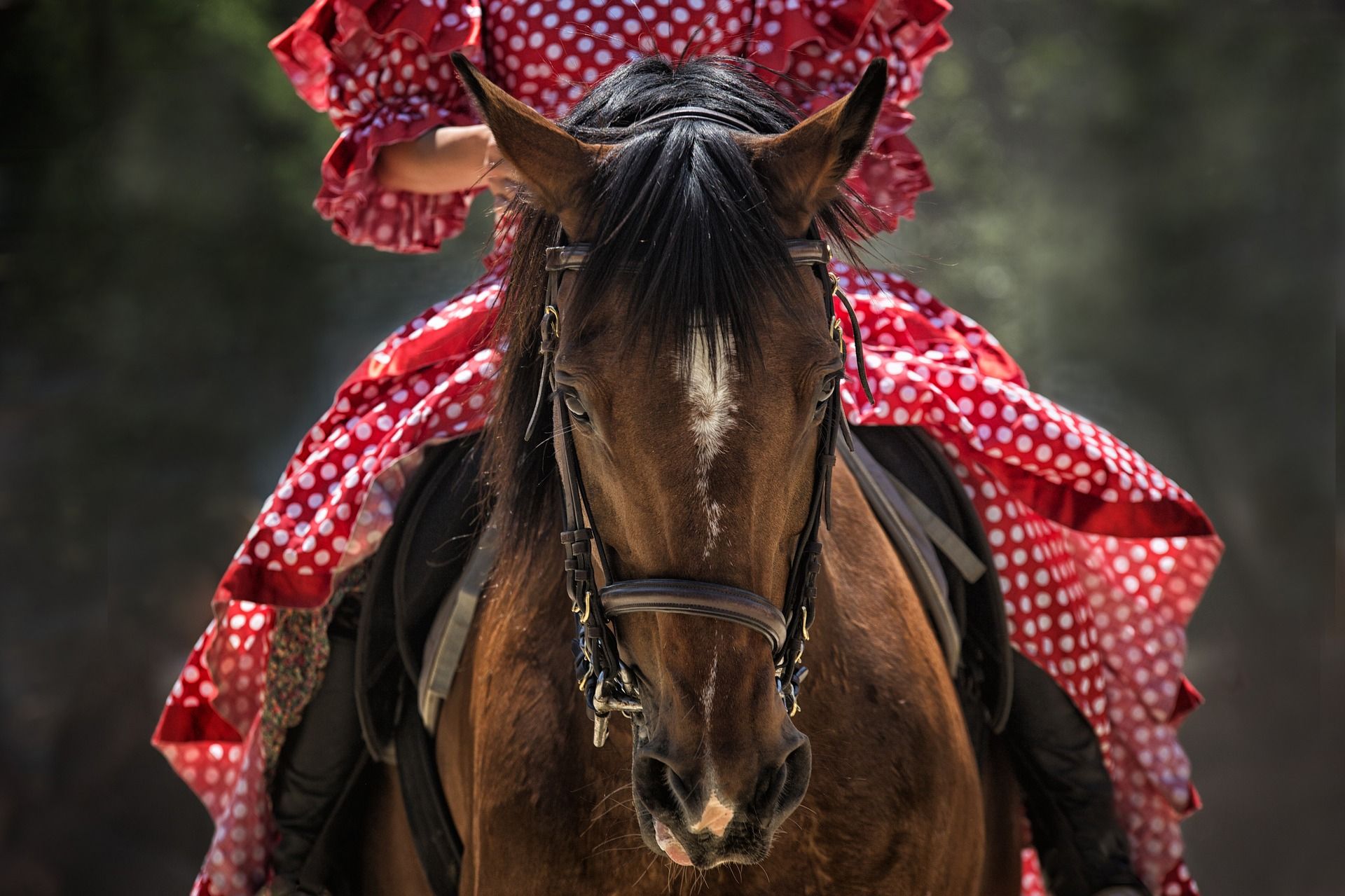 Horsing Around - Sure Dad